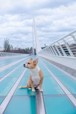 TURTLE BAY EXPLORATION PARK - Updated January 2026 - 591 Photos & 177 ...