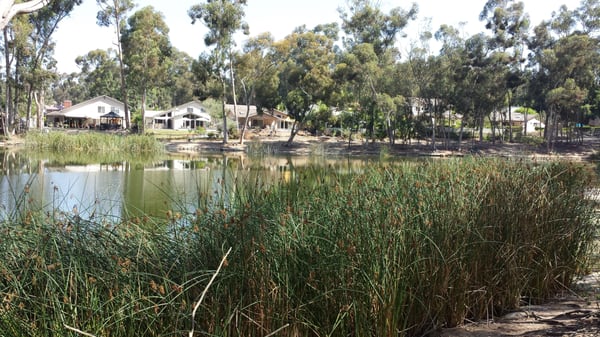 HENDRIX PARK - Updated January 2026 - 9850-9880 Caminito Marlock, San ...