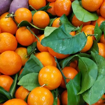 SHIN SHIN ORIENTAL GROCERY STORE - Updated November 2024 - 34 Photos ...