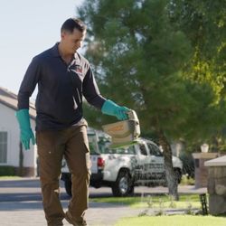 Best Mice Exterminator Near Me - October 2025: Find Nearby Mice ...