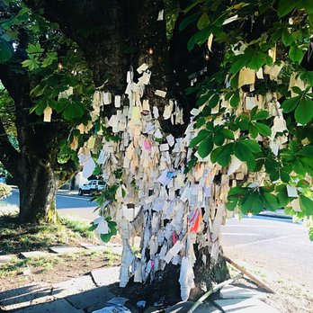 THE WISHING TREE - Updated December 2025 - 54 Photos & 12 Reviews ...