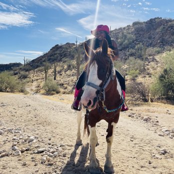 PONDEROSA STABLES - Updated February 2025 - 269 Photos & 212 Reviews ...