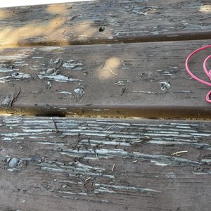 COWLITZ TIMBER TRAILS ASSOC - Updated May 2025 - 1988 Spencer Rd ...