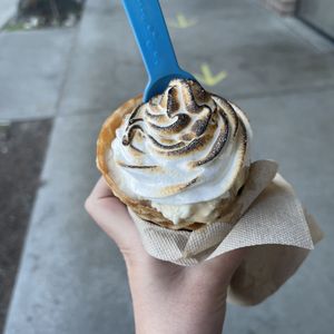 WILD SCOOPS - 140 Photos & 88 Reviews - Desserts - 530 E Benson Blvd ...