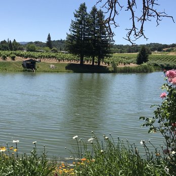 TESTA VINEYARDS - Updated December 2025 - 113 Photos & 49 Reviews ...