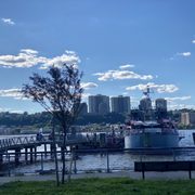 BAYLANDER STEEL BEACH - 268 Photos & 124 Reviews - American ...