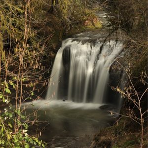 FARADAY LAKE - 33832-33996 E Faraday Rd, Estacada, Oregon - Lakes - Yelp