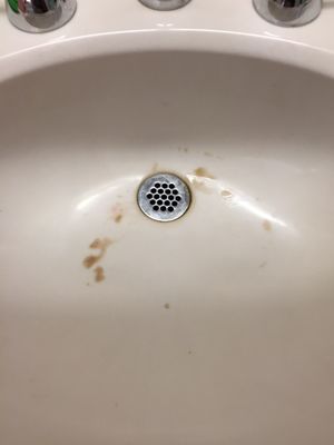 CARDINAL HILL REHABILITATION HOSPITAL - Updated January 2026 - 19 ...