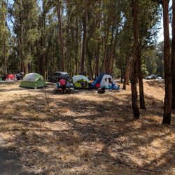 Top 10 Best Lake Chabot Camping in Castro Valley, CA - Last Updated ...