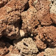 THE BUSHEL STOP - 160 Photos & 48 Reviews - 8596 W Atlantic Ave, Delray ...