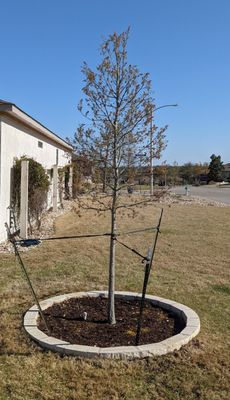 LAWNS TREE FARM - Updated September 2025 - 33 Photos & 14 Reviews - 400 ...