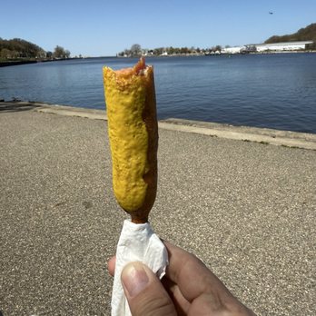 PRONTO PUPS - Updated December 2025 - 254 Photos & 210 Reviews - 313 S ...