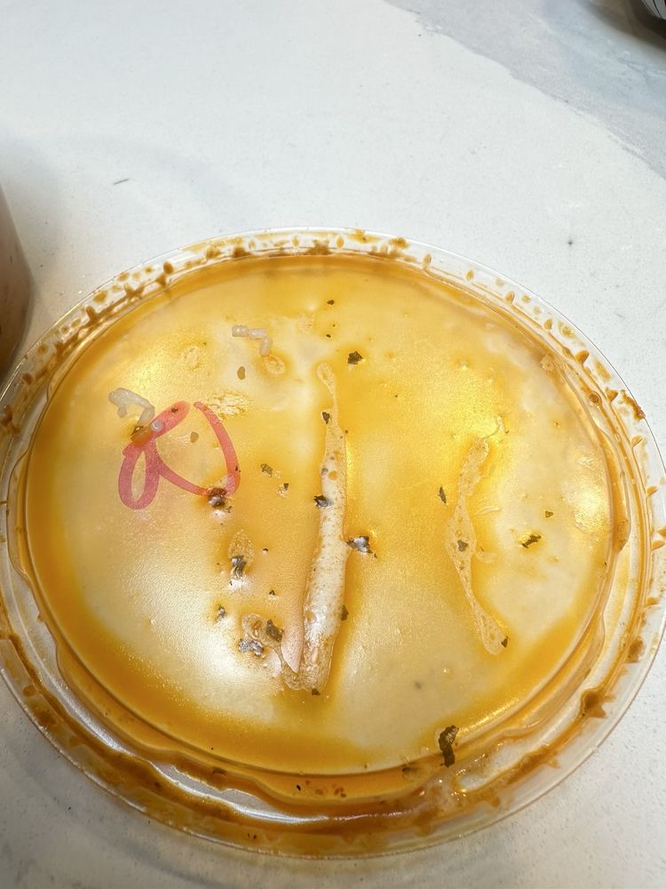 THE MANGO TREE - Updated November 2025 - 27 Photos & 29 Reviews - 14208 ...