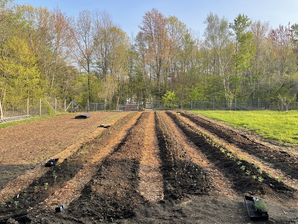 WILLARD BROOK FARM - Updated August 2025 - Request Information - 830 ...