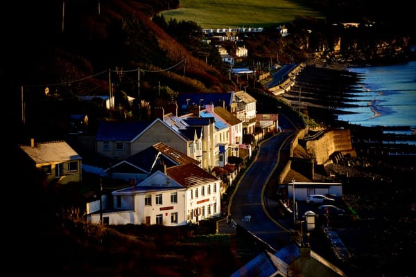 AMROTH ARMS - Updated November 2025 - 12 Photos - Narberth ...