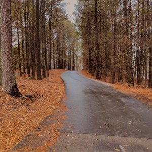 ALEXANDER PARK - 145 Photos & 57 Reviews - 800 Old Snellville Hwy ...