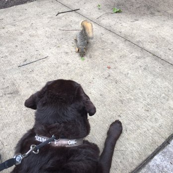 GUSSIE FIELD WATTERWORTH PARK - Updated December 2025 - 22 Photos ...