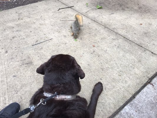 GUSSIE FIELD WATTERWORTH PARK - Updated June 2025 - 16 Photos - 2610 ...