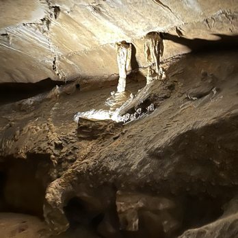 BLUESPRING CAVERNS PARK - Updated October 2025 - 165 Photos & 48 ...