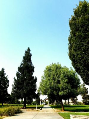 GRETCHEN TALLEY PARK - Updated December 2025 - 59 Photos - 1551 Dove Dr ...