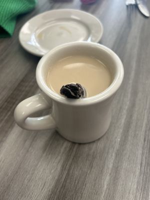 NACHO KAT - Updated April 2024 - 30 Photos & 18 Reviews - 70456 LA-21 ...