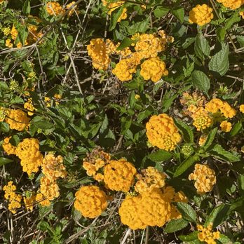 THE HIVE - Updated July 2025 - 43 Photos & 39 Reviews - 1672 Old ...