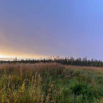 DIAMOND M RANCH RESORT - Updated August 2025 - 30 Photos & 20 Reviews ...