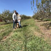 BJ REECE ORCHARDS - 319 Photos & 126 Reviews - Fruits & Veggies - 9131 ...