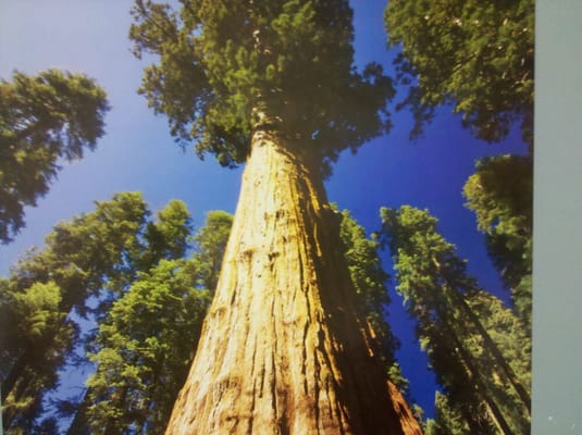 ADVENTHEALTH SEBRING - Updated January 2026 - 17 Photos & 34 Reviews ...