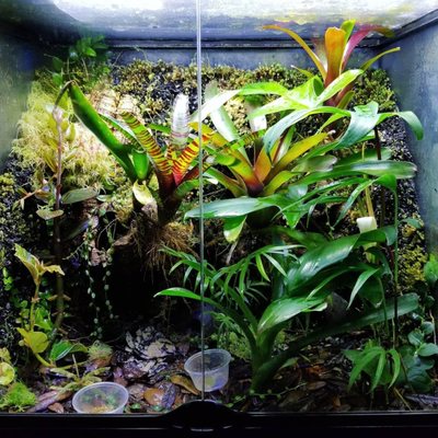 FRAGILE PLANET WILDLIFE PARK - Updated June 2024 - 12 Photos - 34748 Fm ...