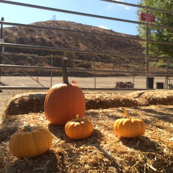 LOMBARDI RANCH - Updated January 2026 - 17 Photos & 17 Reviews - 29527 ...