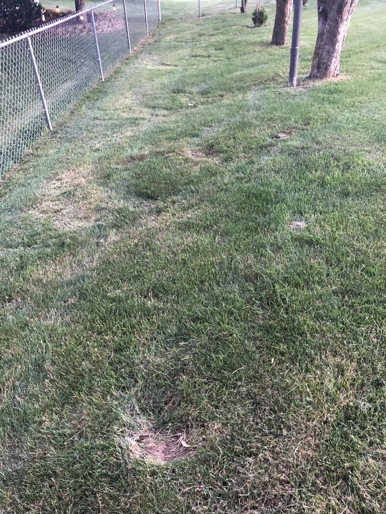 ANGEL’S LAWN MAINTENANCE - Updated March 2025 - 23 Photos - Lansing ...