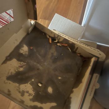 STUFT PIZZA - Updated November 2024 - 602 Photos & 628 Reviews - 1426 ...