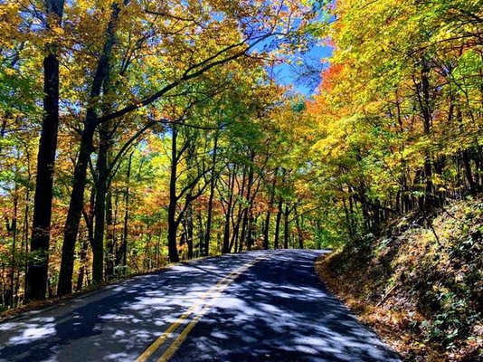 BENT TREE COMMUNITY - Updated December 2025 - 22 Photos - 40 Little ...