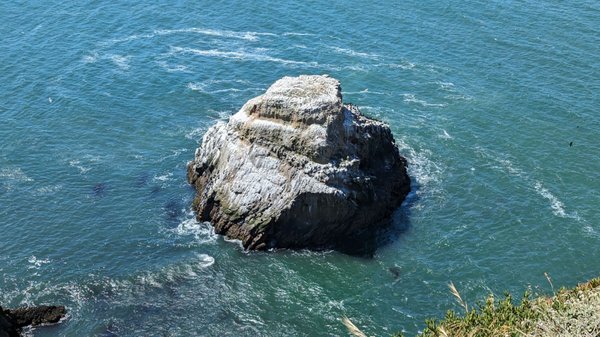 CHIMNEY ROCK - POINT REYES NATIONAL SEASHORE - Updated June 2025 - 233 ...