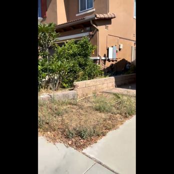 CASTILLO LANDSCAPING - Updated May 2025 - 204 Photos & 65 Reviews ...