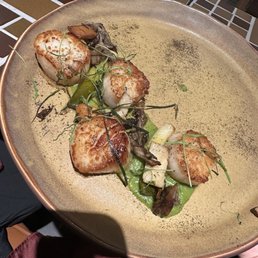 TALIA KITCHEN - Updated July 2025 - 157 Photos & 72 Reviews - 39405 ...