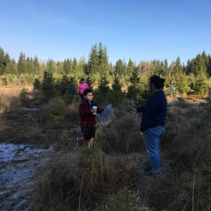 HEMSTROM VALLEY TREE FARM CHRISTMAS TREES - TEMP. CLOSED - Updated ...