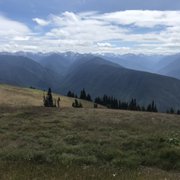 HURRICANE RIDGE - 396 Photos & 89 Reviews - 600 E Park Ave, Port ...