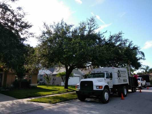 VETERAN TREE SERVICE - Updated January 2026 - 38 Photos & 25 Reviews ...