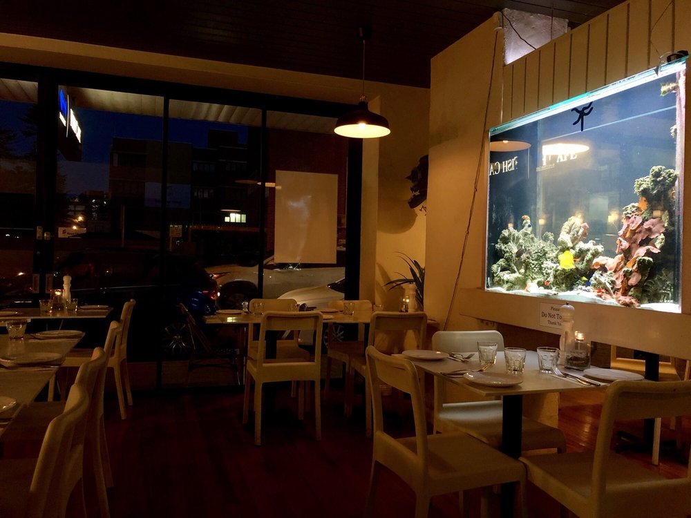 MANLY FISH CAFE - Updated January 2026 - 28 Photos & 12 Reviews - 25 ...