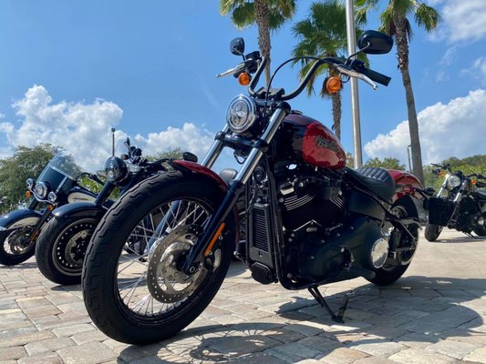 ADAMEC HARLEY-DAVIDSON JACKSONVILLE - 29 Photos & 14 Reviews - 8909 ...