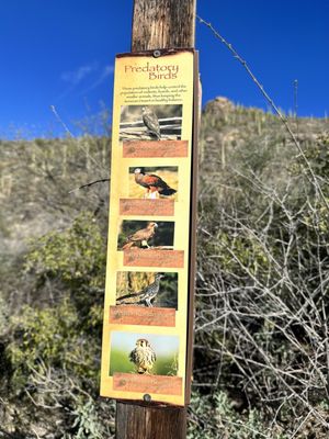 VENTANA CANYON HIKING TRAIL - Updated December 2025 - 73 Photos & 27 ...