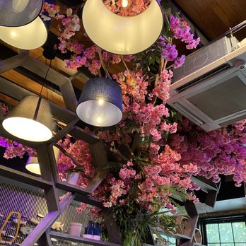 LAZY FISH - Updated August 2024 - 441 Photos & 484 Reviews - 10 E ...