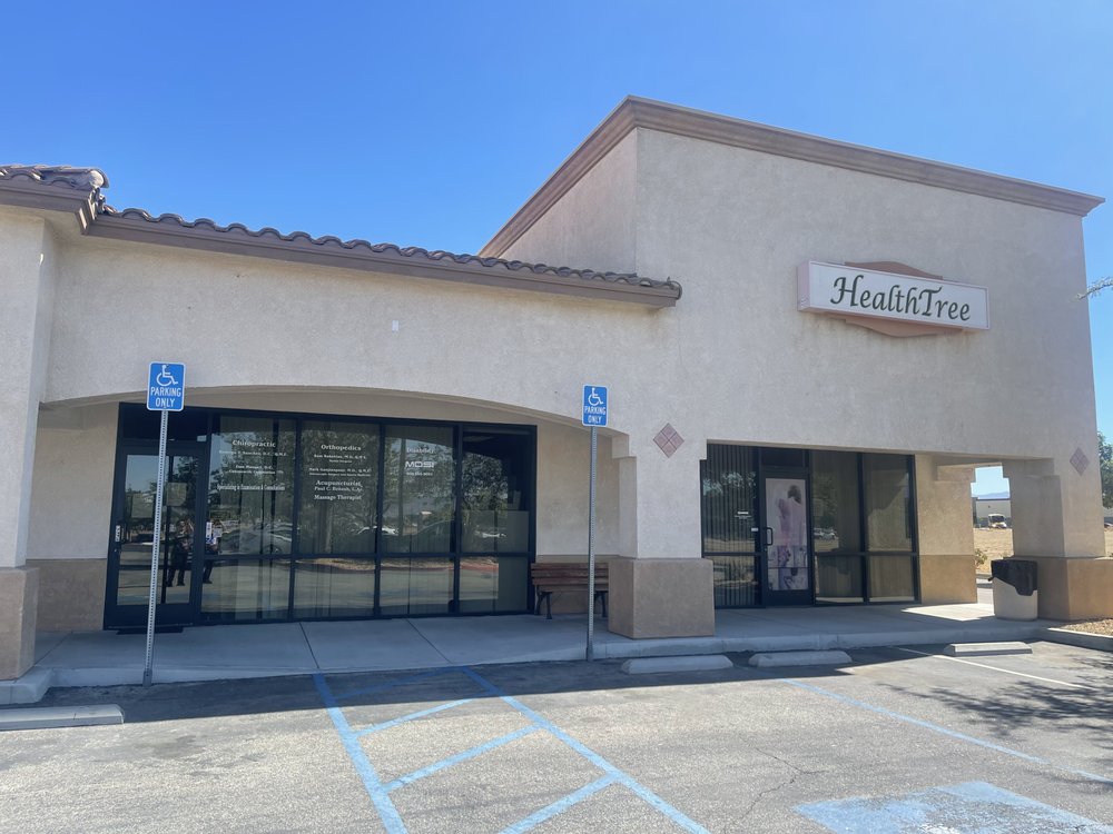 DANIEL M MASSARI, DC - Updated December 2025 - 42544 10th St W ...