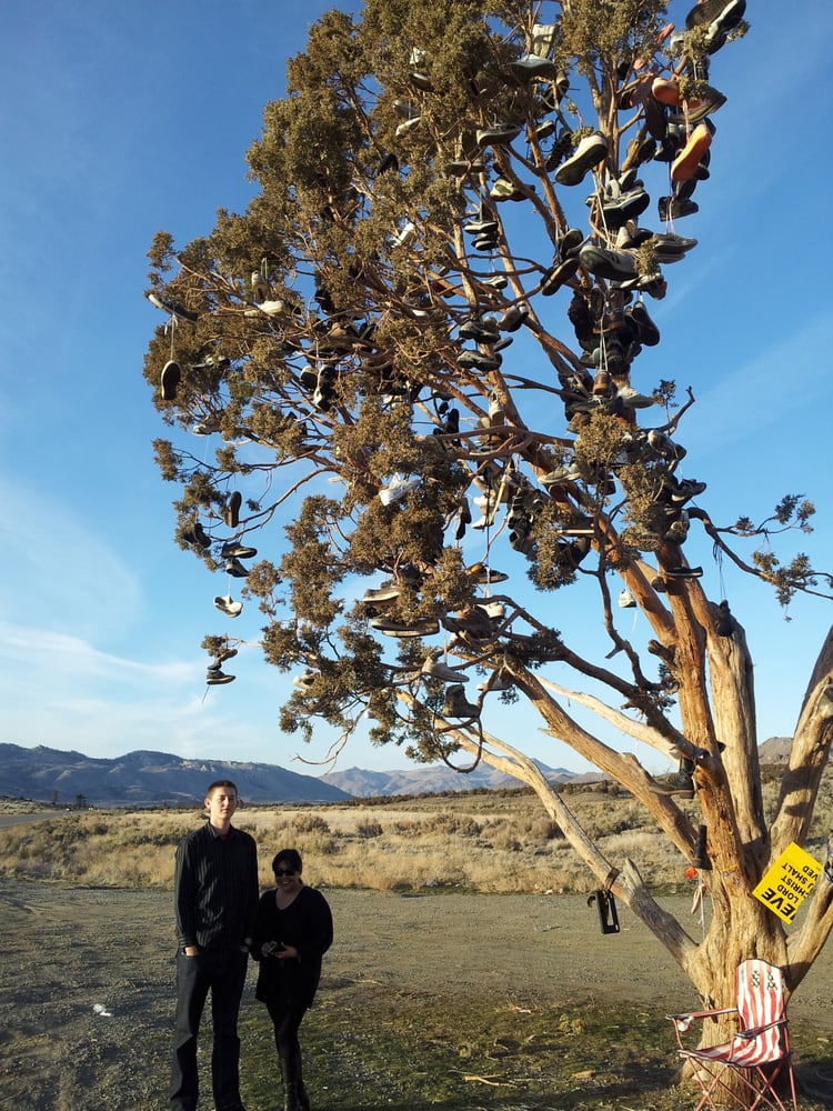 SHOE TREE - Updated December 2025 - 13 Photos - US Hwy 395, Hallelujah ...