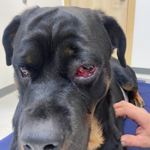 CHUCKANUT VALLEY VETERINARY CLINIC - Updated December 2025 - 12 Photos ...