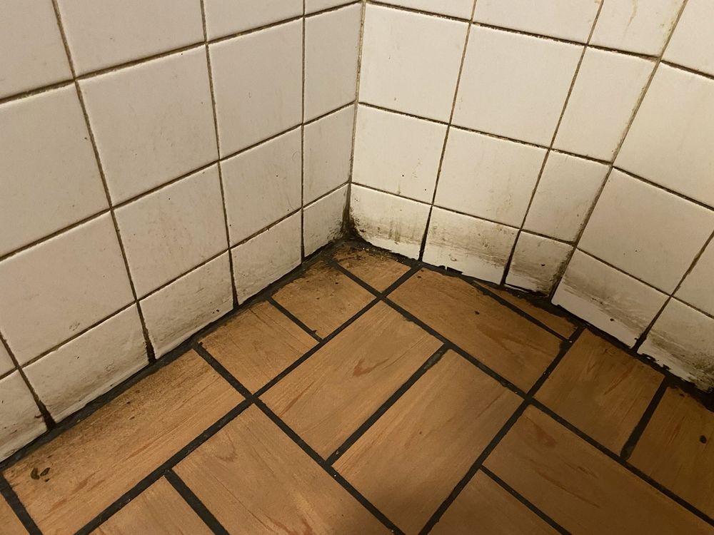 MANCHU BUFFET - Updated January 2026 - 420 W Tioga St, Tunkhannock ...