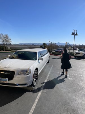 BELL LIMOUSINE - Updated June 2025 - 161 Photos & 1217 Reviews - 1900 ...