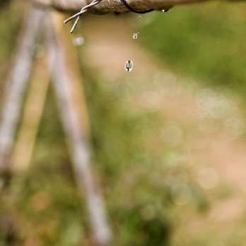 CRYSTAL BAY FARM - Updated September 2024 - 146 Photos & 64 Reviews ...